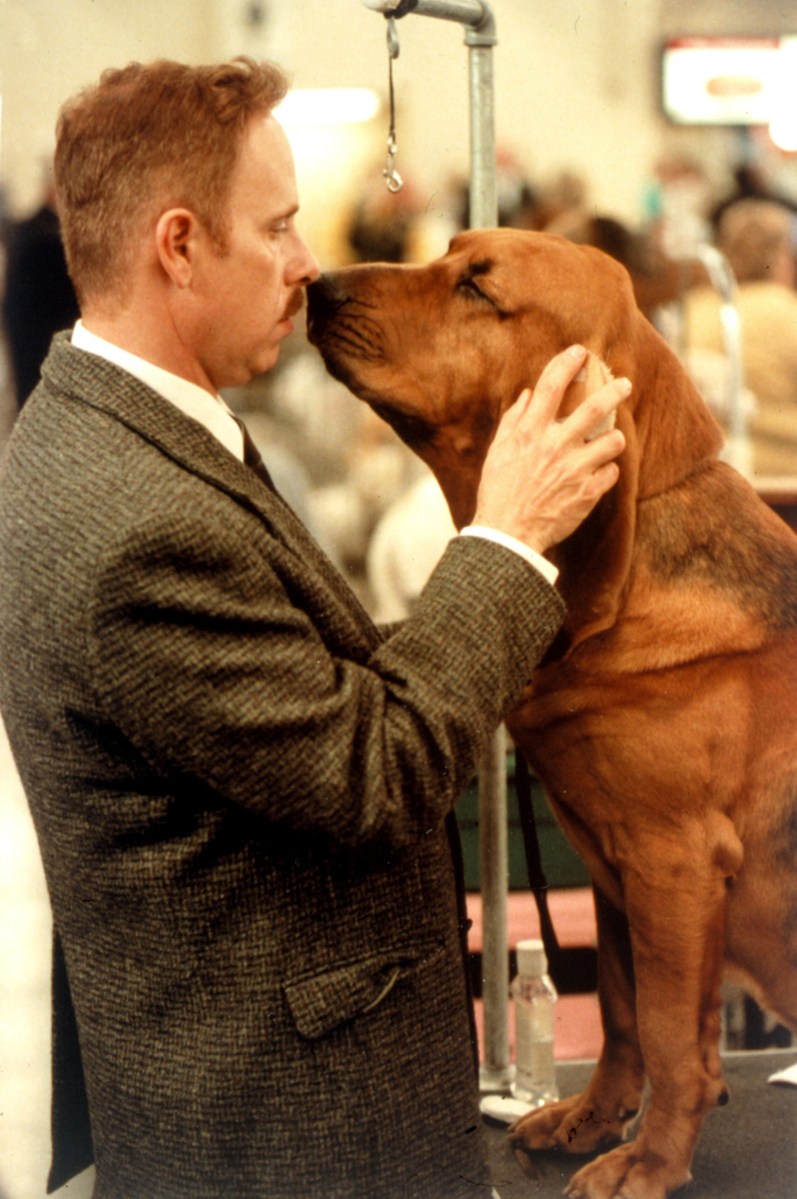 Best in Show (2000) – The Postmodern Pelican