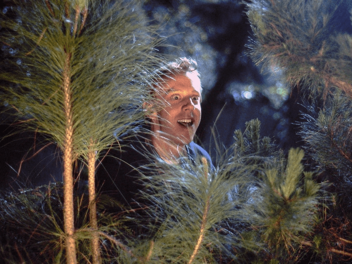 Chuck & Buck (2000) – The Postmodern Pelican